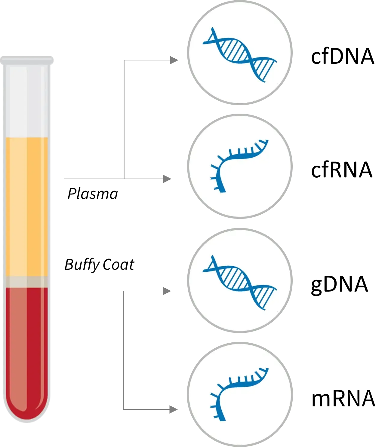 Caris Assure®: Blood based tumour profiling – EDX Medical